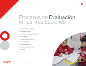 Niveles – Swiss Academy