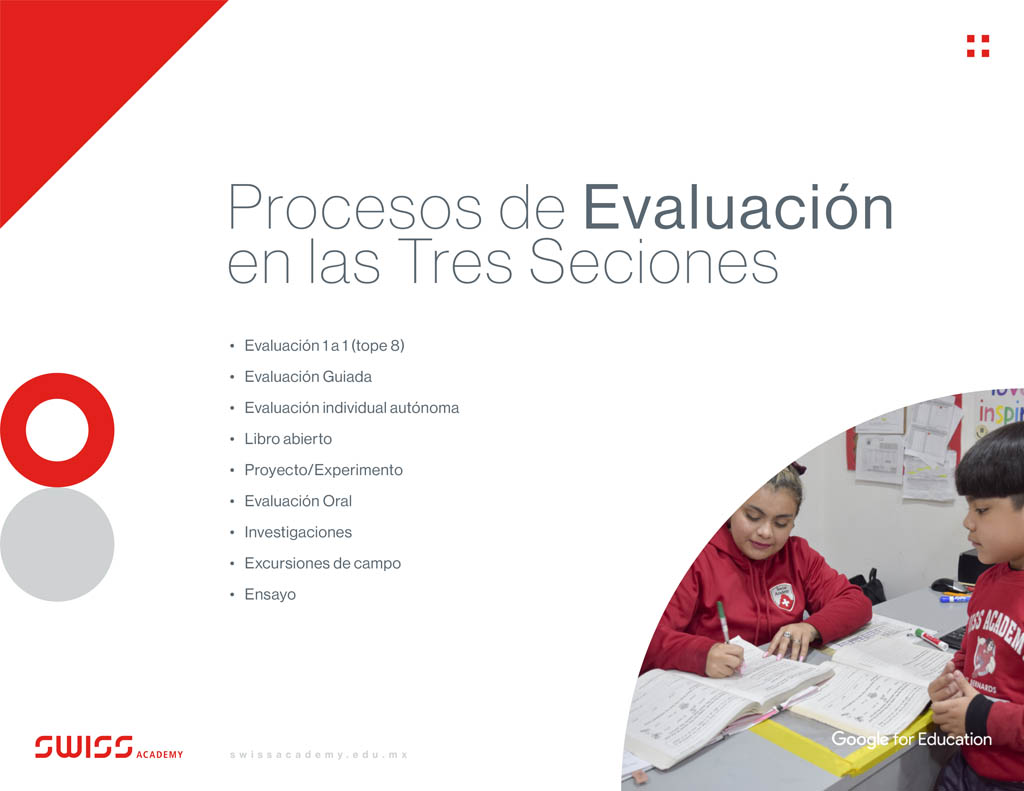 Niveles – Swiss Academy